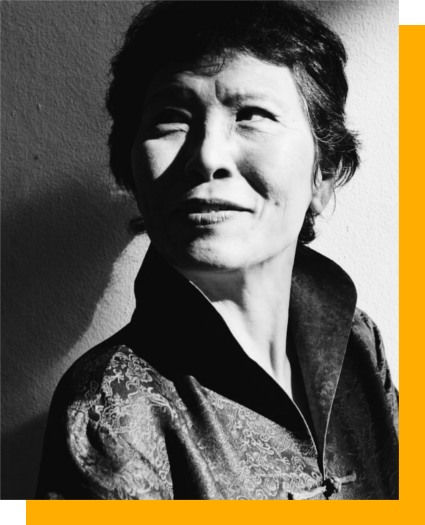 Shirley Geok-lin Lim / Bio — poetry.sg