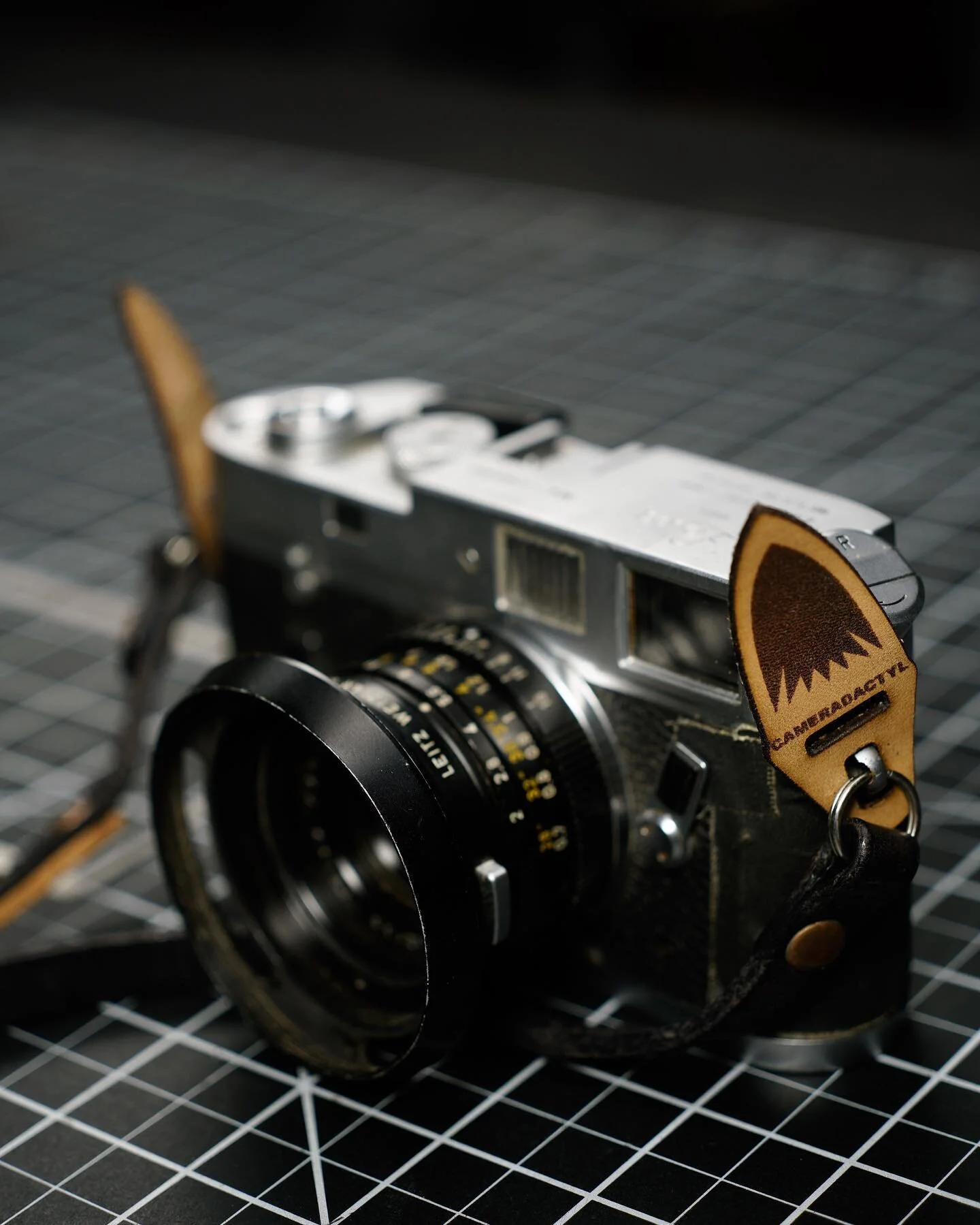 SHOP — CAMERADACTYL