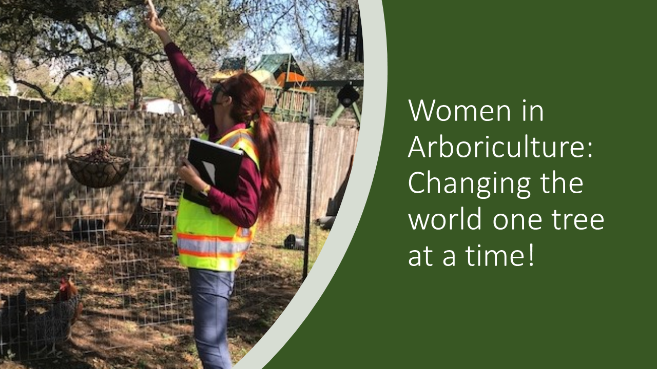 Women in Trees — Arborholic, LLC