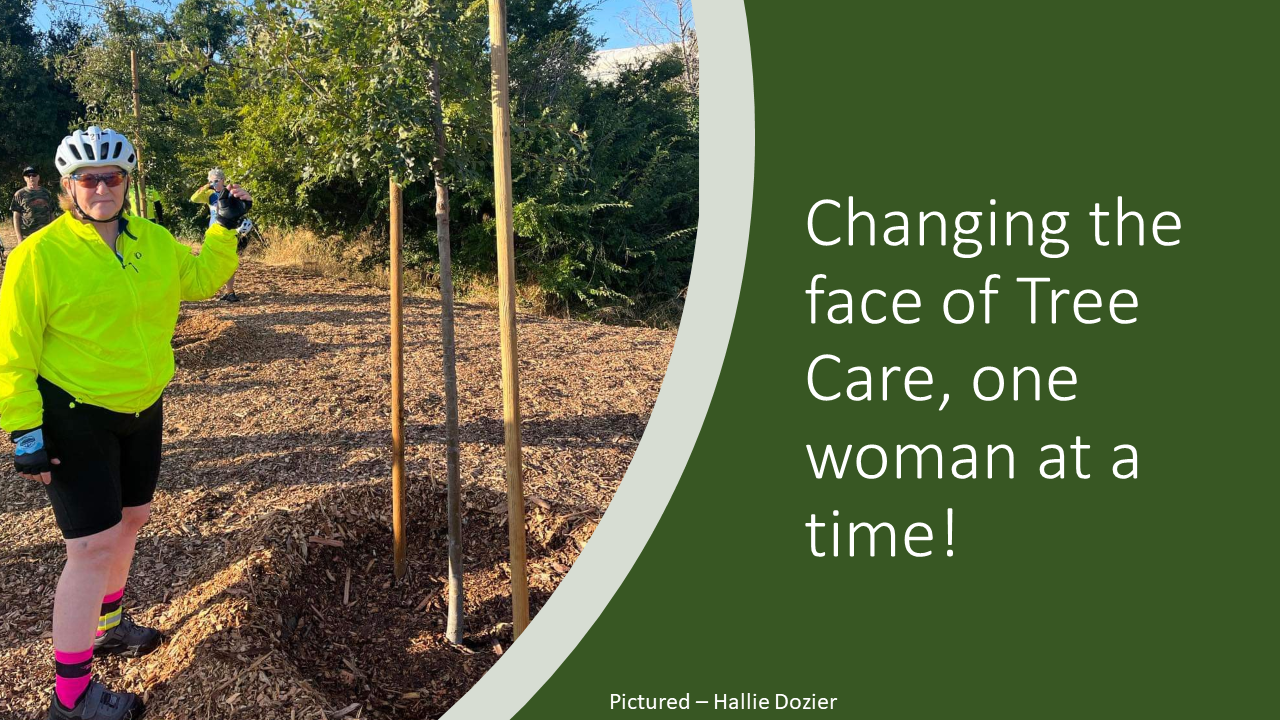 Women in Trees blog — Arborholic, LLC