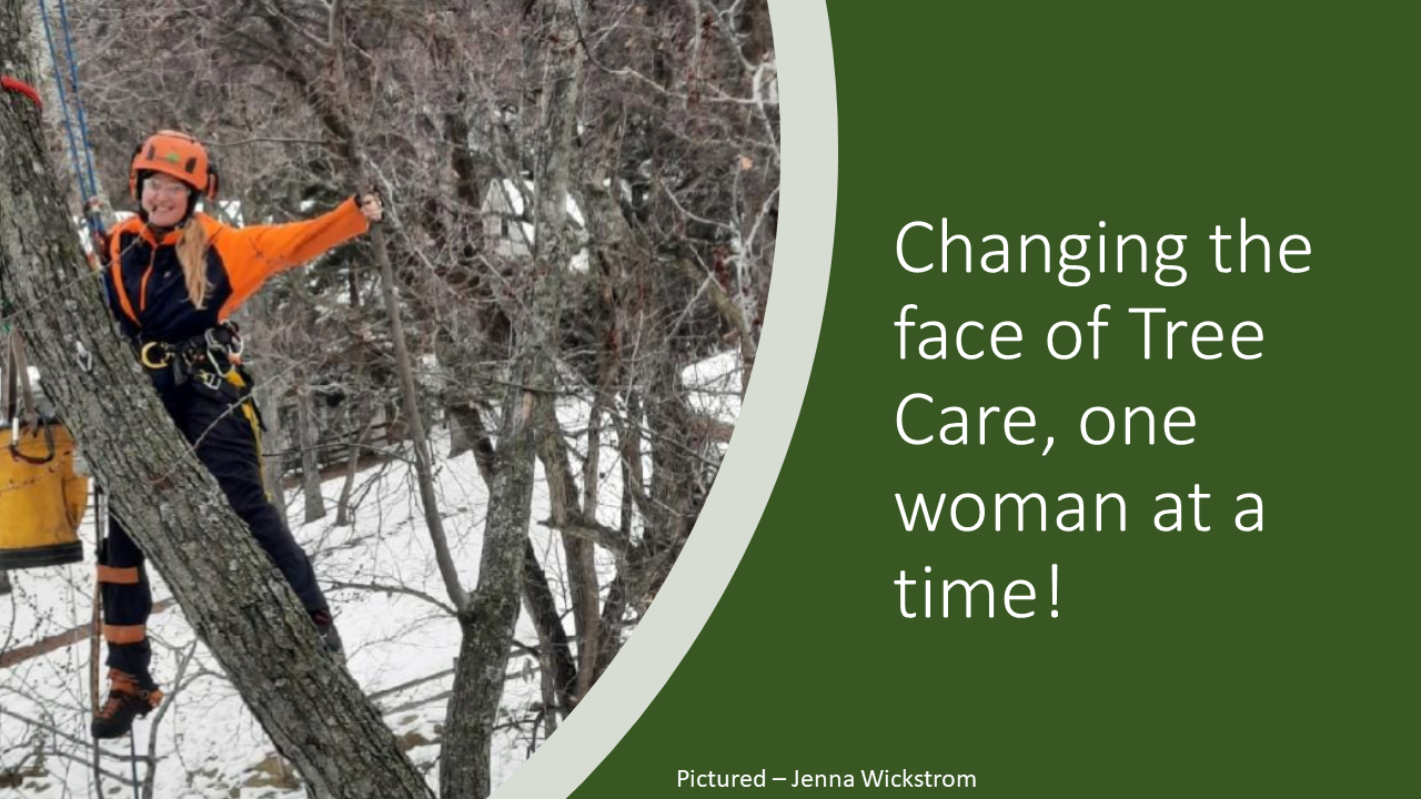 Women in Trees blog — Arborholic, LLC