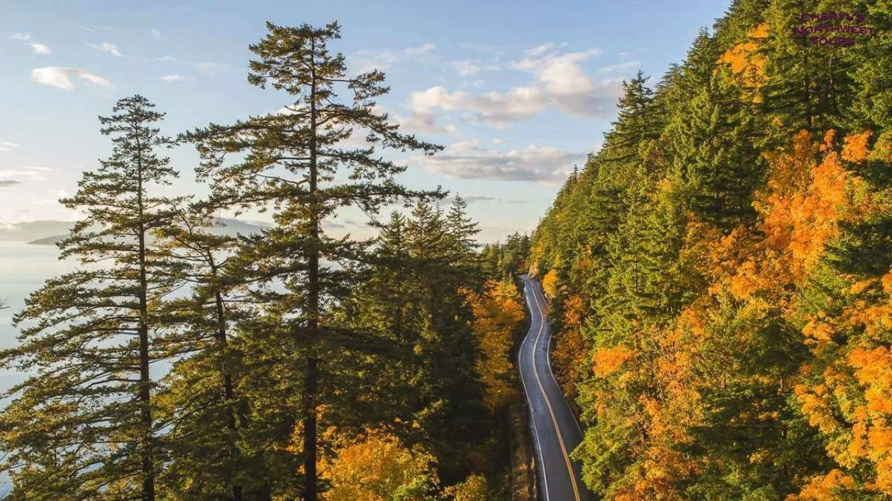 Unlock The Pacific Northwest Your Ultimate Guide To Bellingham Camper Rental Adventures