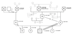 Family Diagram — The Bowen Center for the Study of the Family