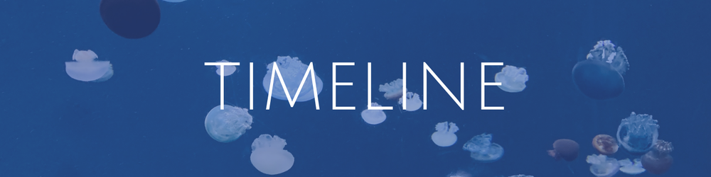 Millennium Oceans Prize — millenniumoceans