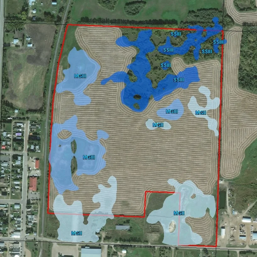 Environmental Wetland Assessments | Wetland Impact Assessments