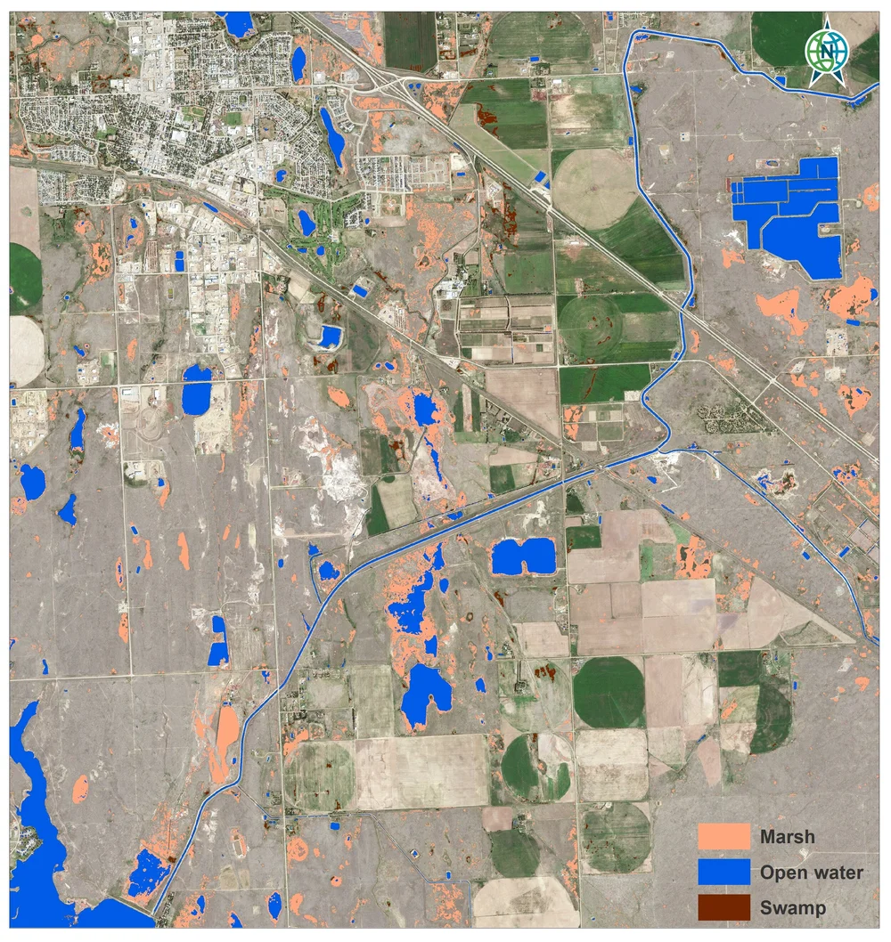 Wetland Mapper (Copy)