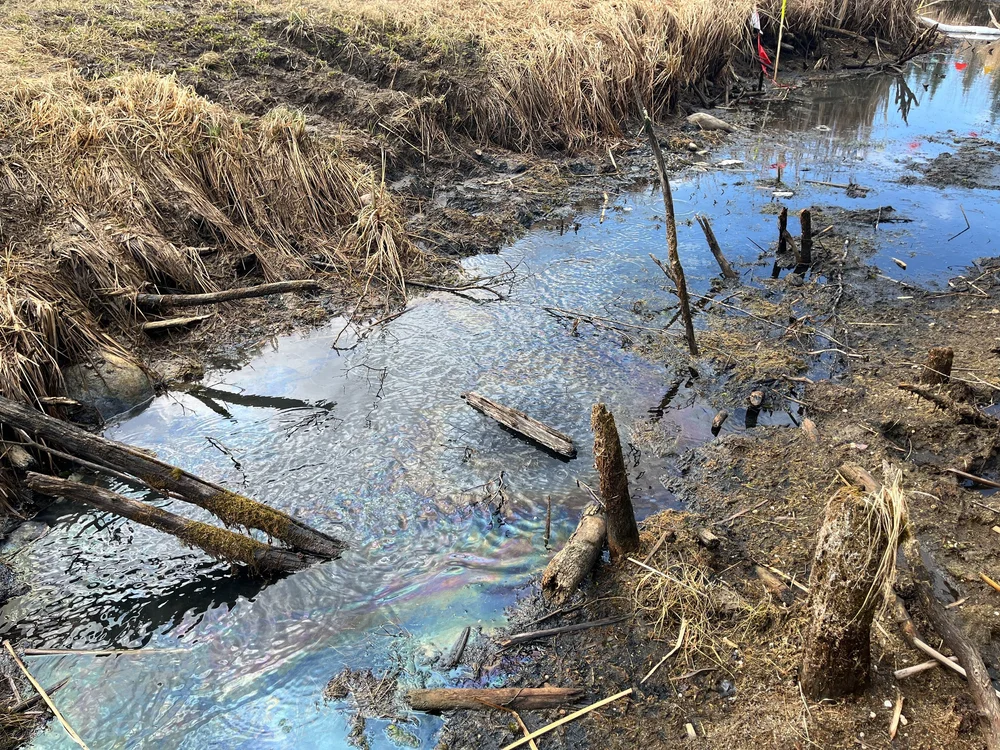 Understanding Water Sheens