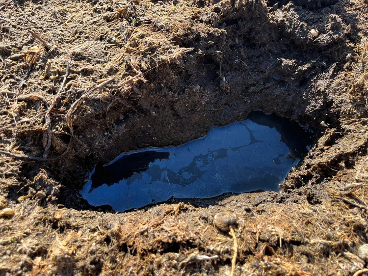 Understanding Water Sheens