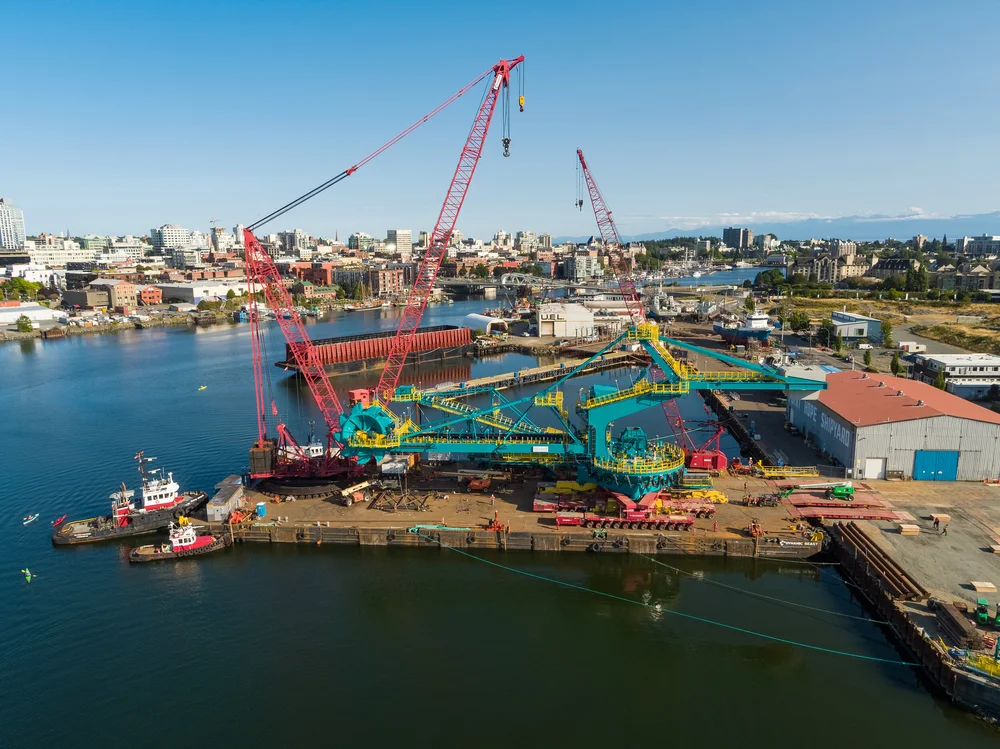 Neptune Bulk Terminal — Dynamic