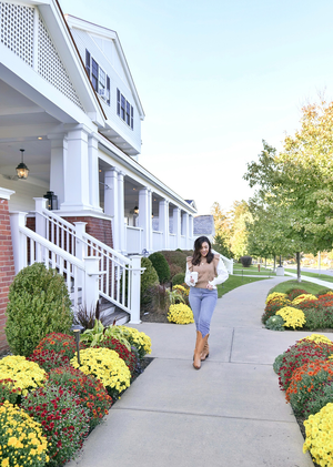 Unveiling the Beauty of Fall Foliage: Your Ultimate Fall Guide to ...
