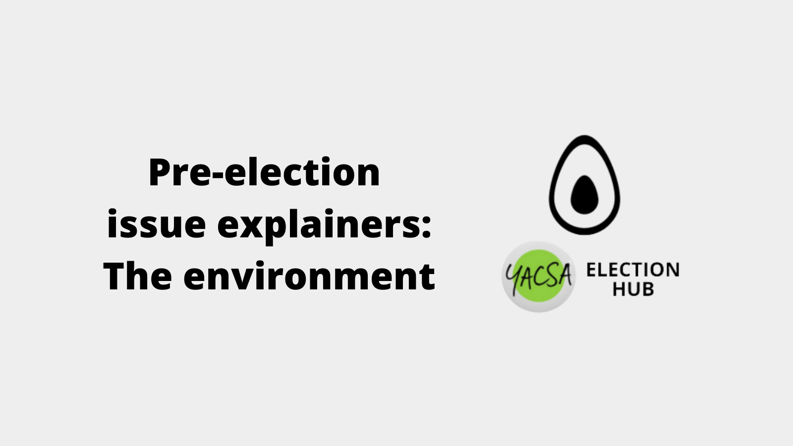 Election Hub — The Smashed Avocado