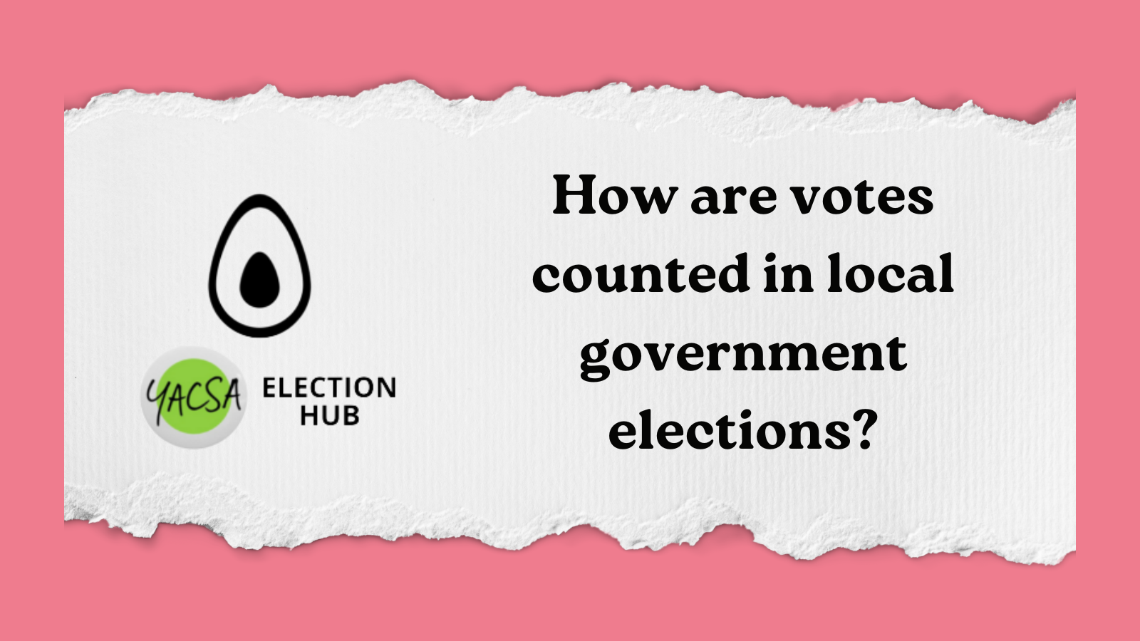 Election Hub — The Smashed Avocado