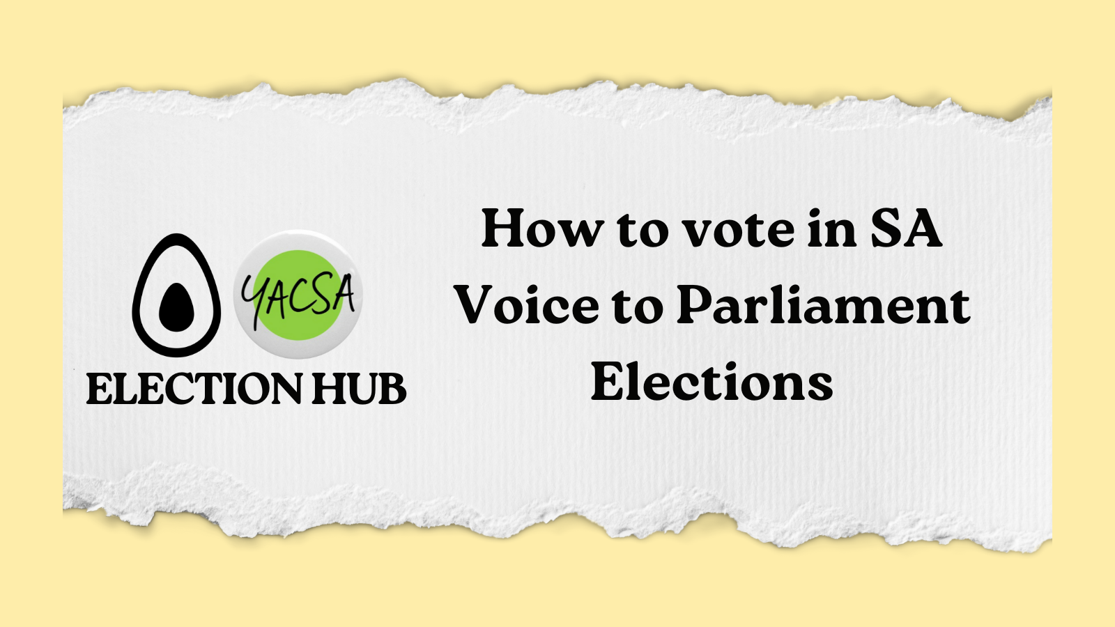 Election Hub — The Smashed Avocado