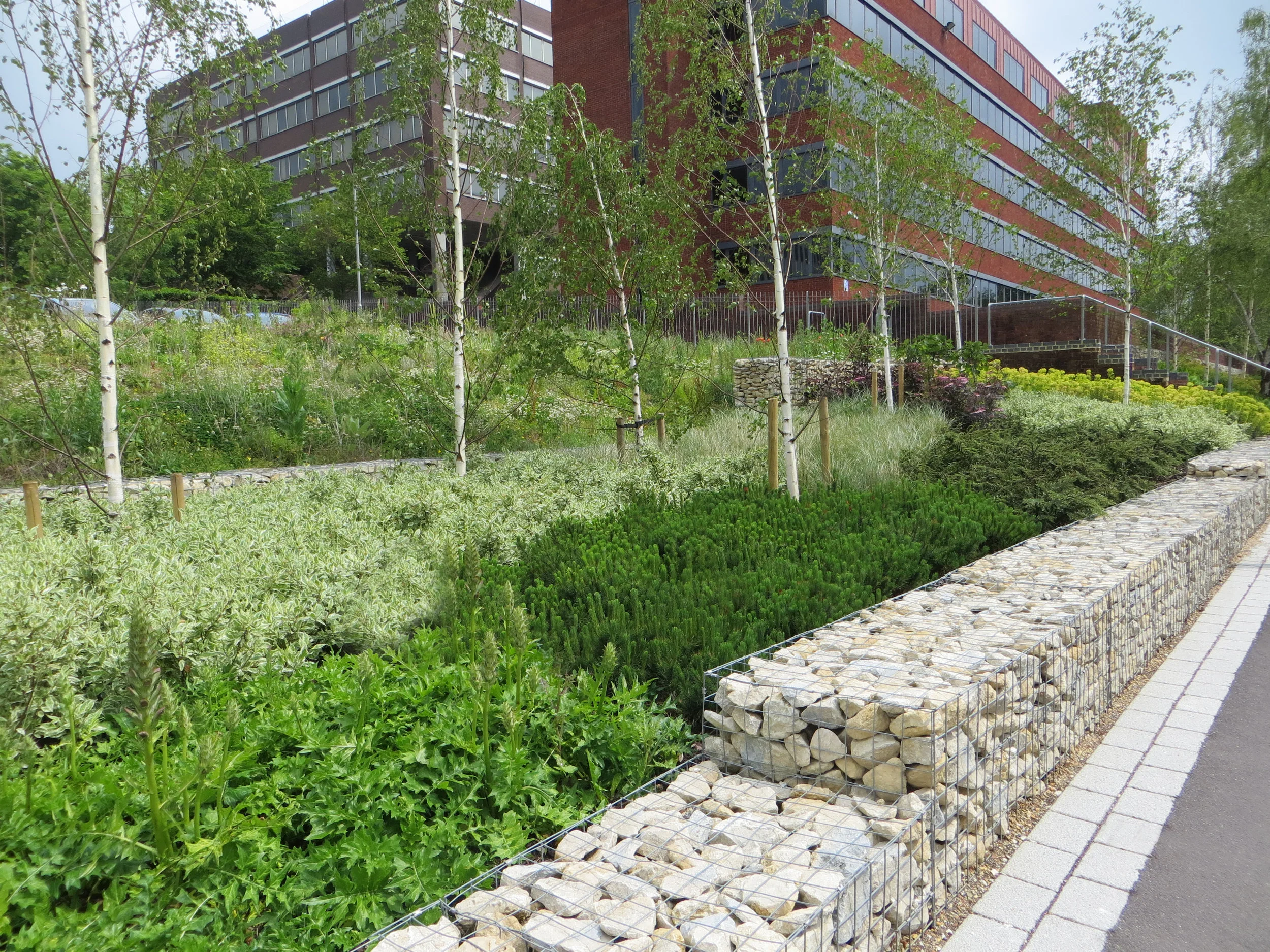 Blakedown Landscapes