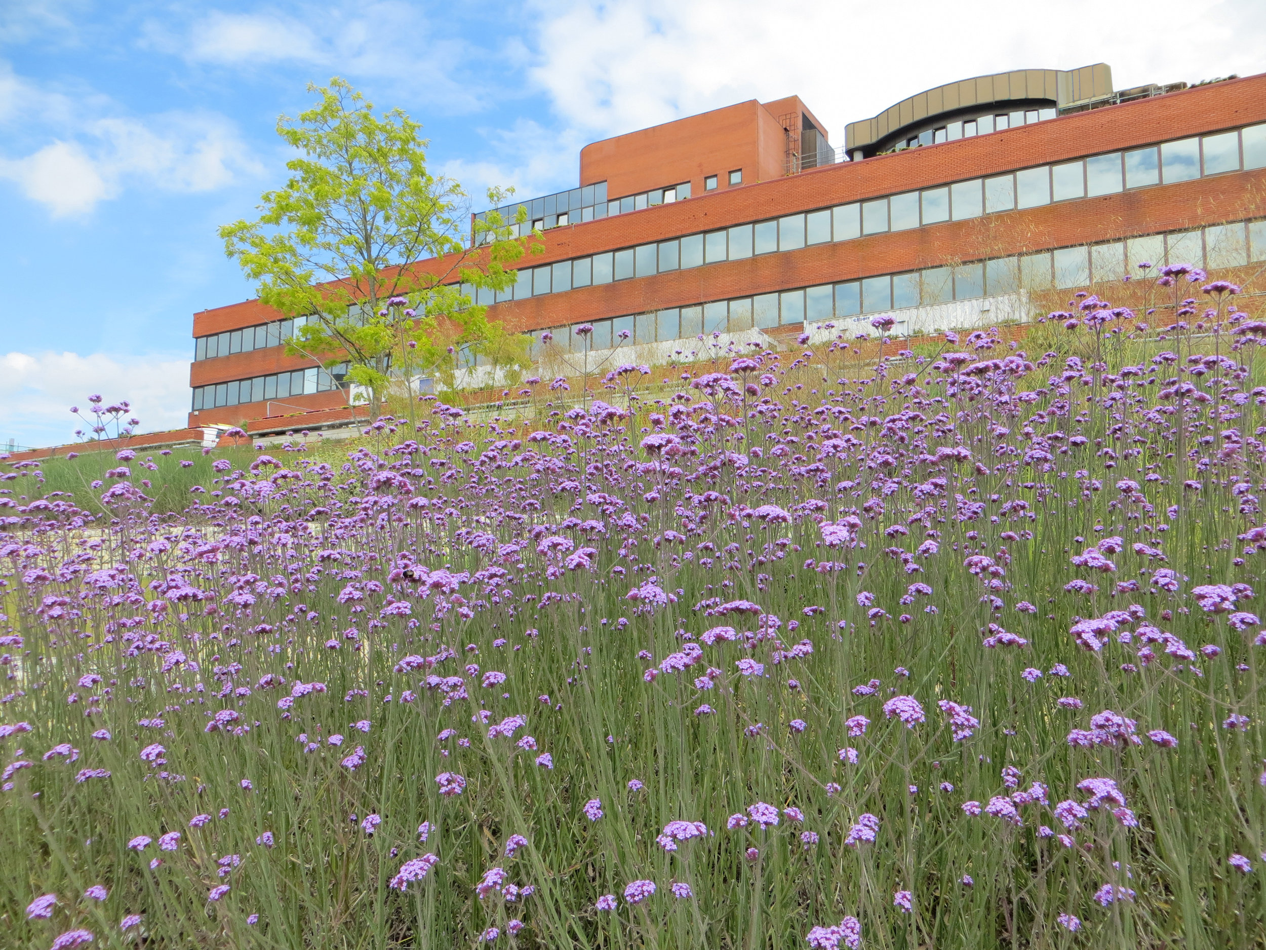 Blakedown Landscapes