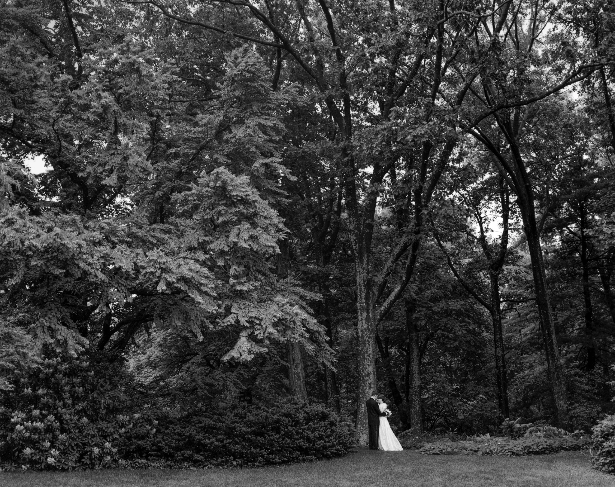 Anne Rearick Photography | New England Wedding Photographer