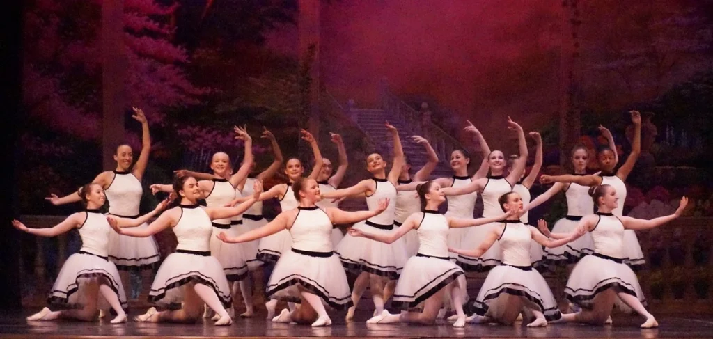 Studio D School of Dance