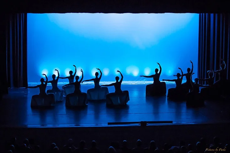 Studio D School of Dance