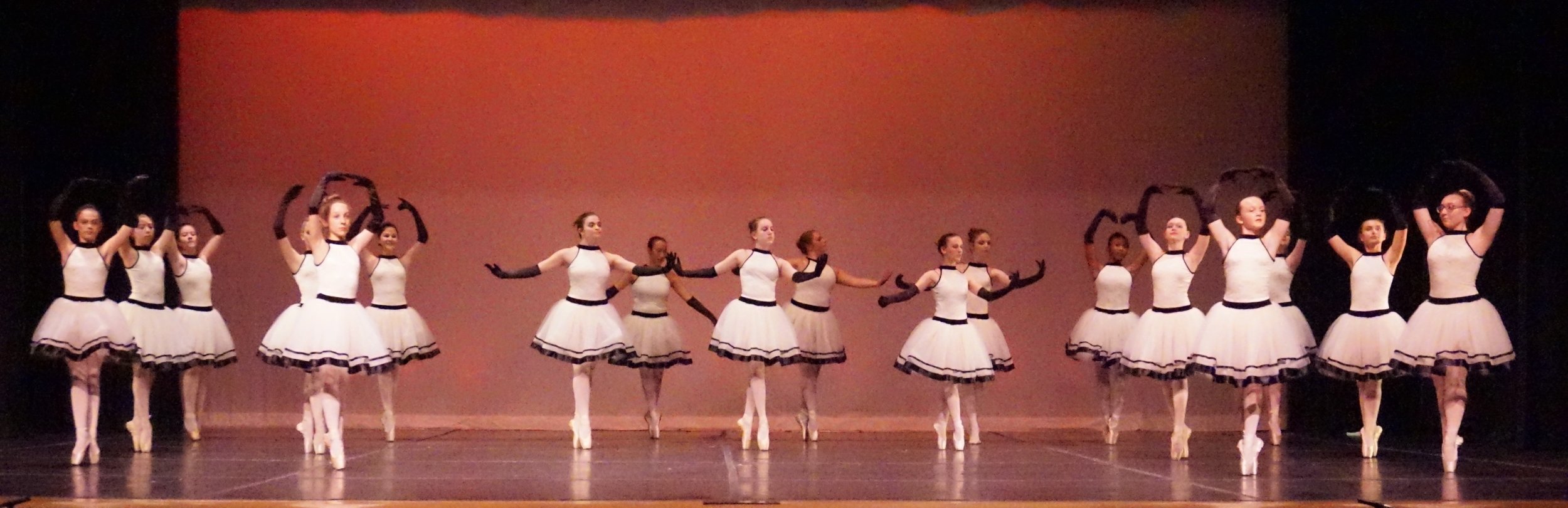 Studio D School of Dance