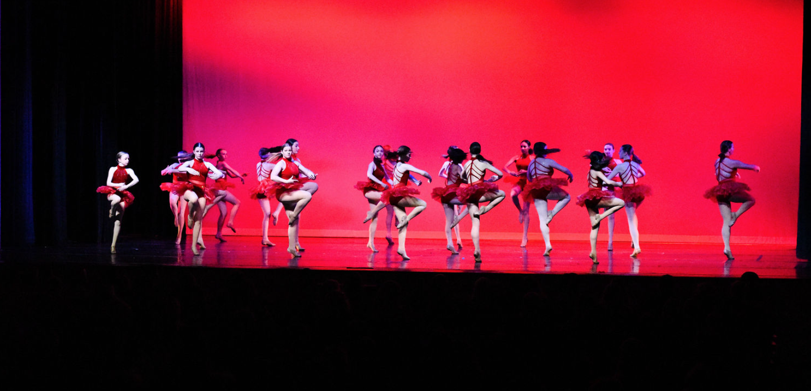 Studio D School of Dance