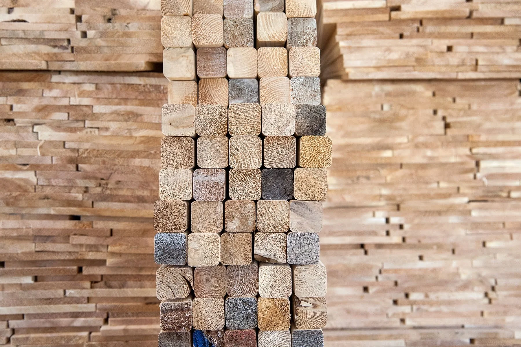 Choosing the right cedar for your project | Green & Healthy Maine HOMES