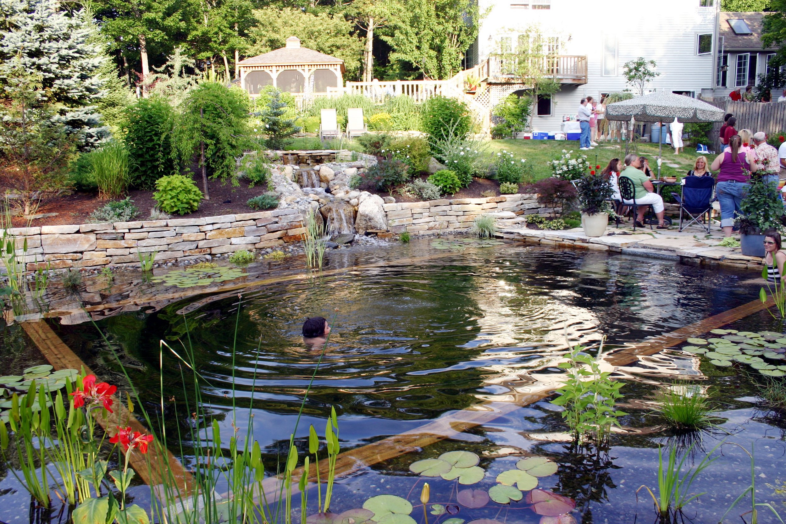 Natural garden pools swap chlorine for hydroponics | Green & Healthy ...