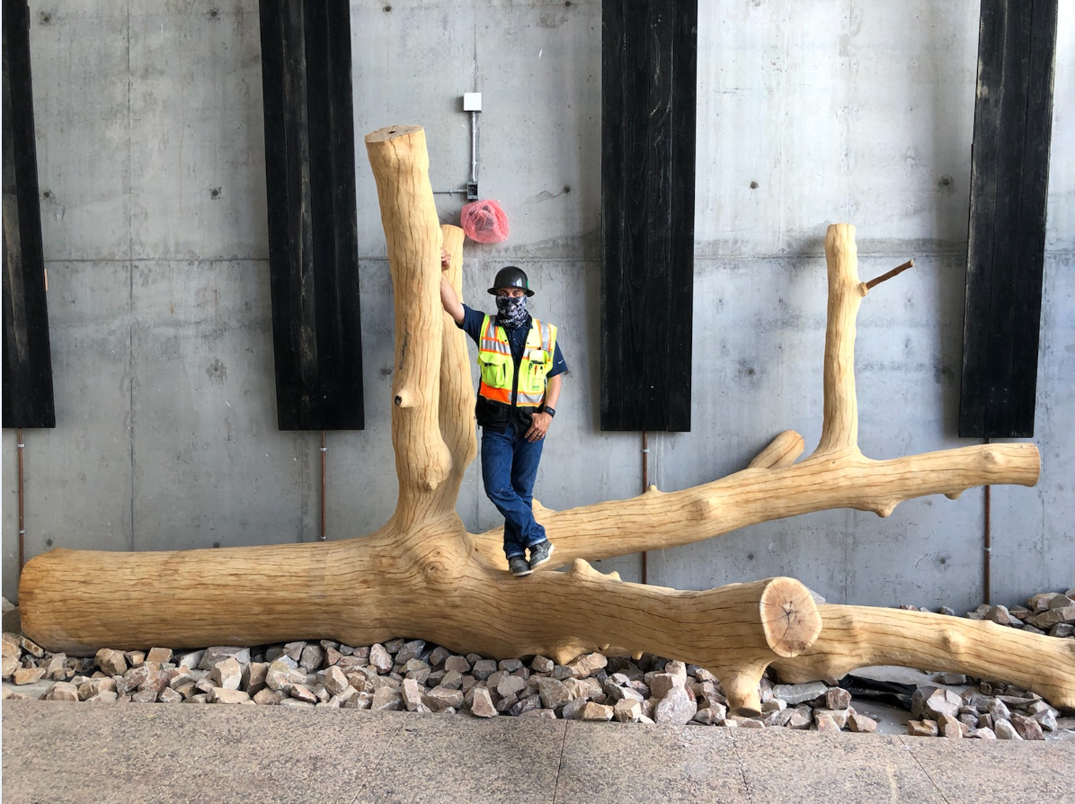 Tree trunks fill demand for climate-friendly building products | Green ...