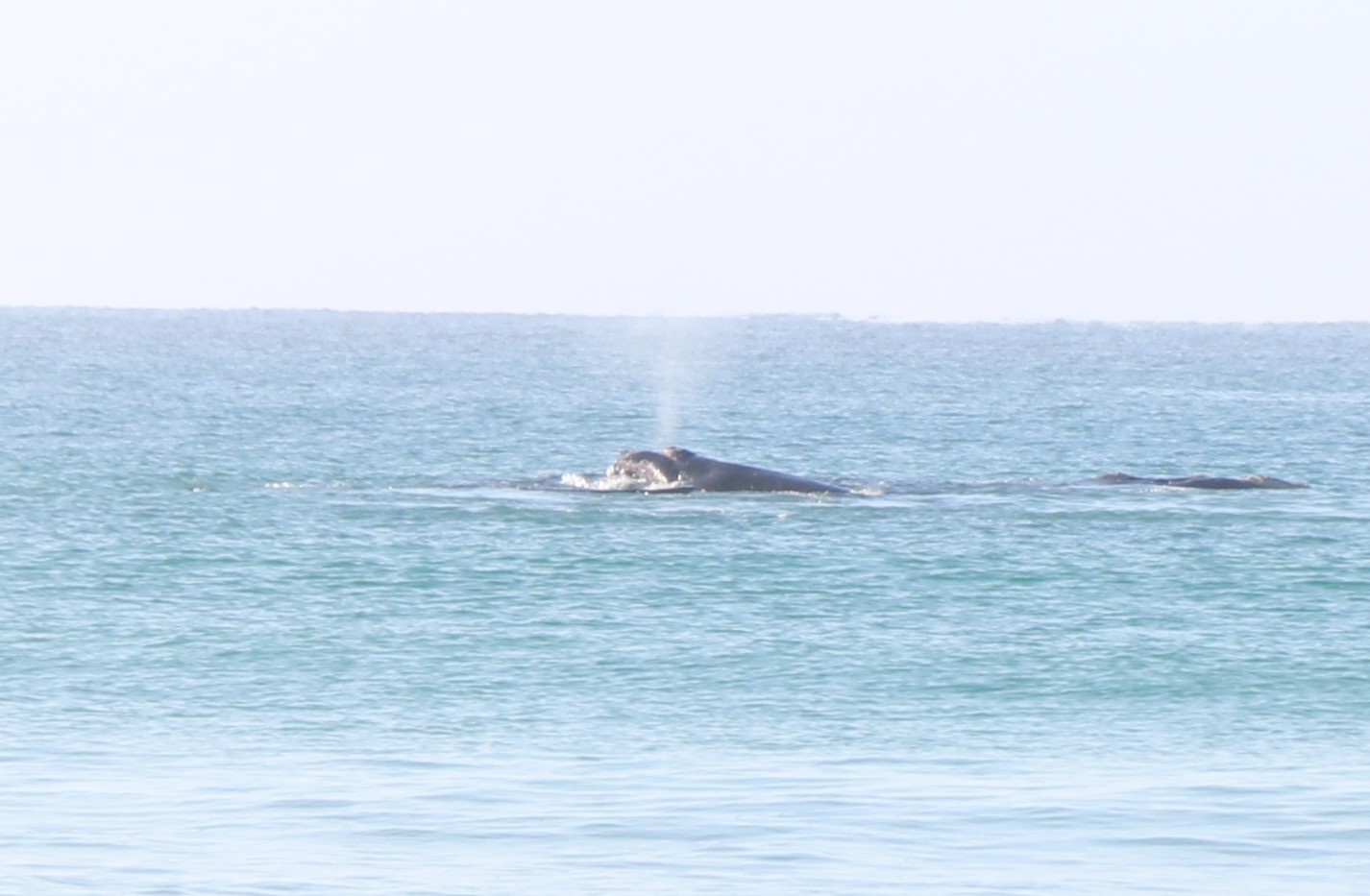 Struisbaai Beach (Die Plaat) — S.A Nice | Stan Sanetra