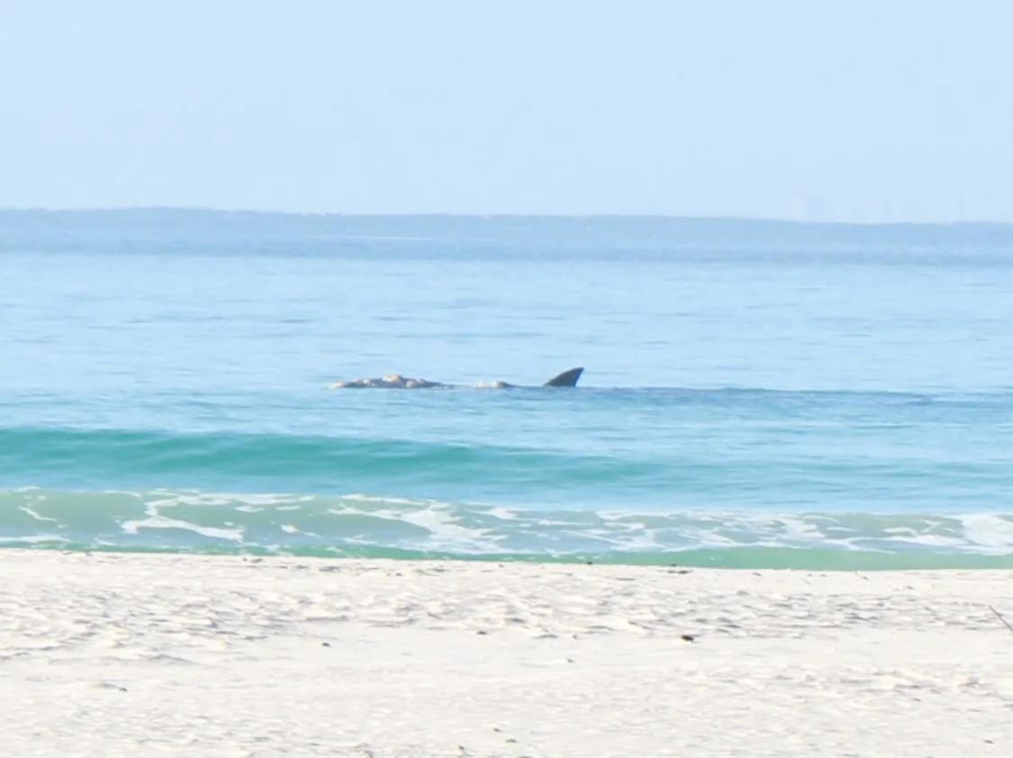 Struisbaai Beach (Die Plaat) — S.A Nice | Stan Sanetra
