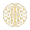 April Walker I Reiki Master Teacher