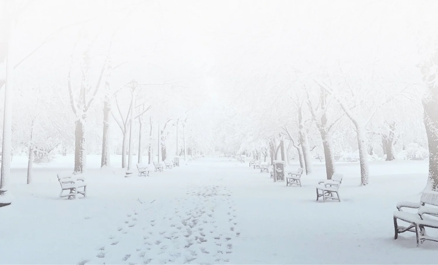 Non-Profit Resources | Community Mediation Calgary Society