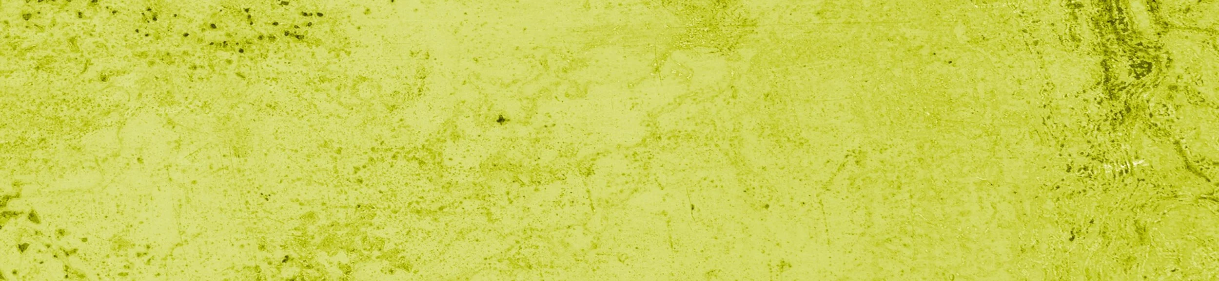 STORY — Organic, Delicious Plant-Based Foods & Tofu