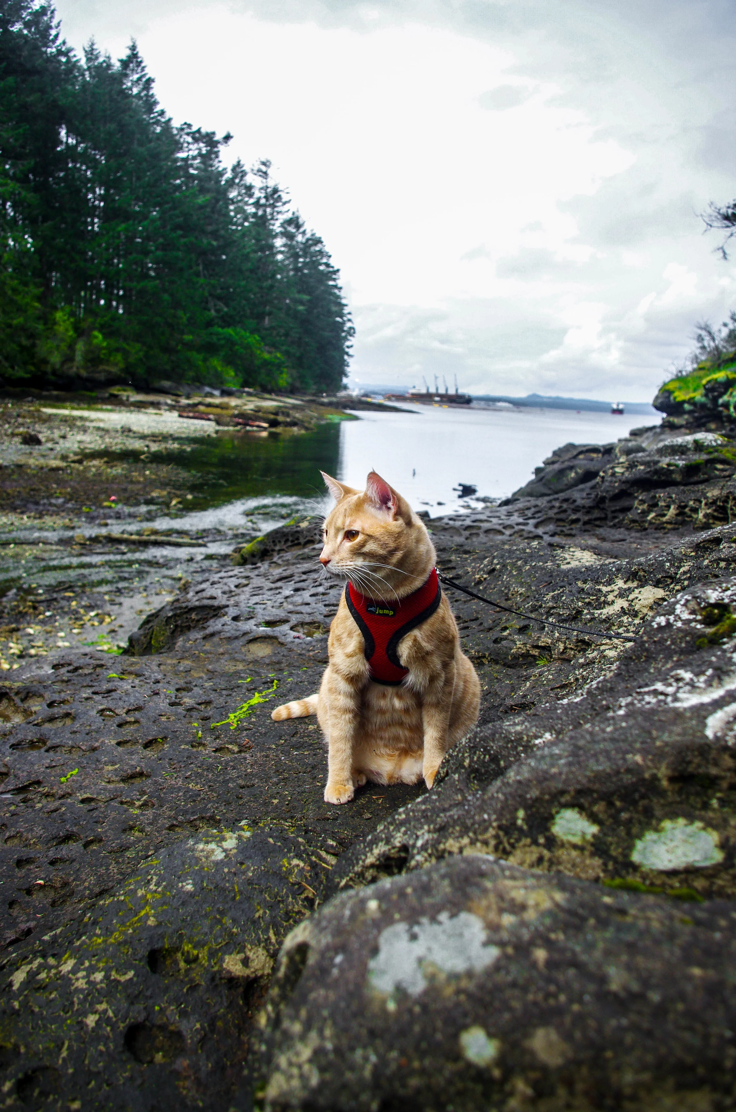 Nancy Shields Creative