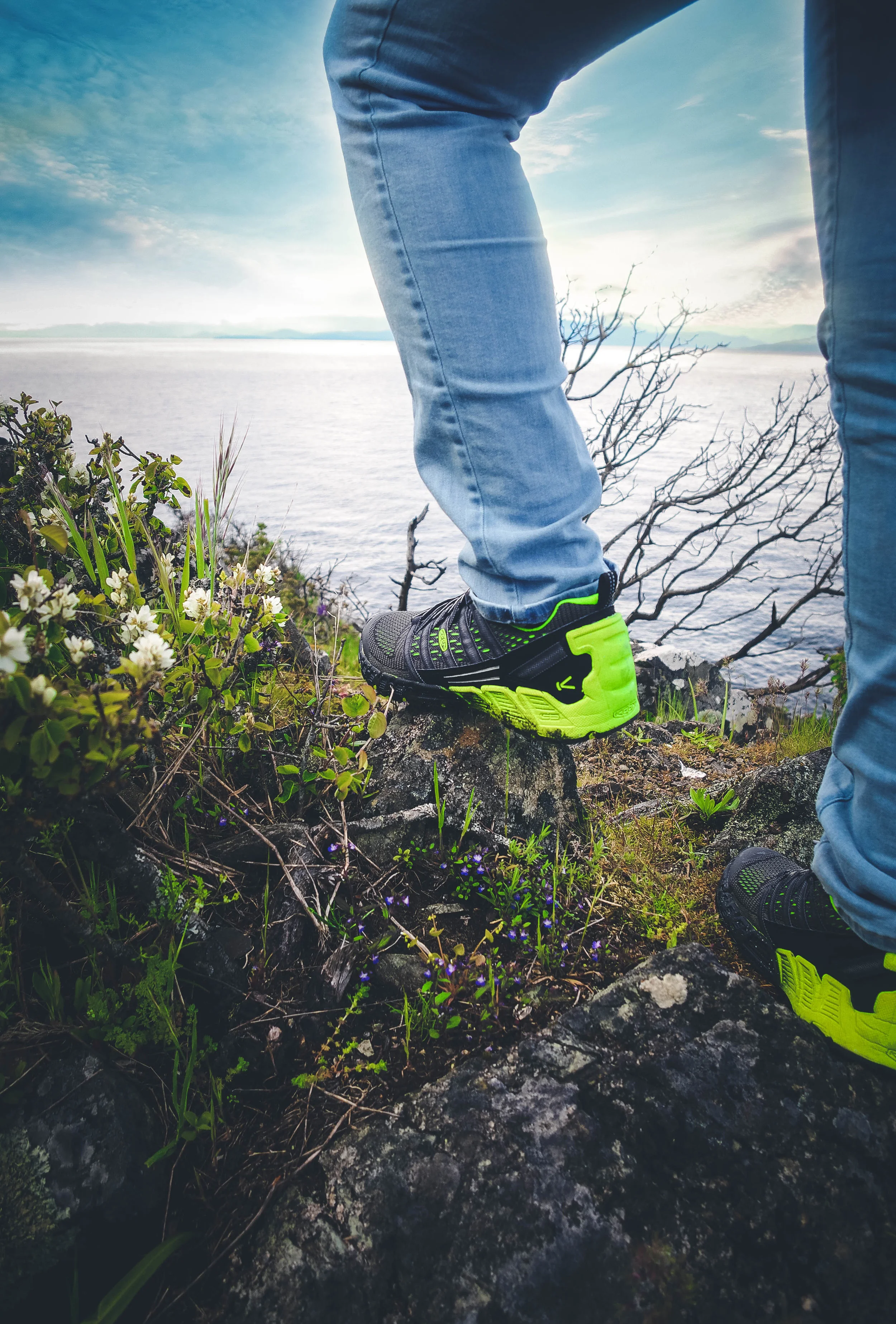 Nancy Shields Creative