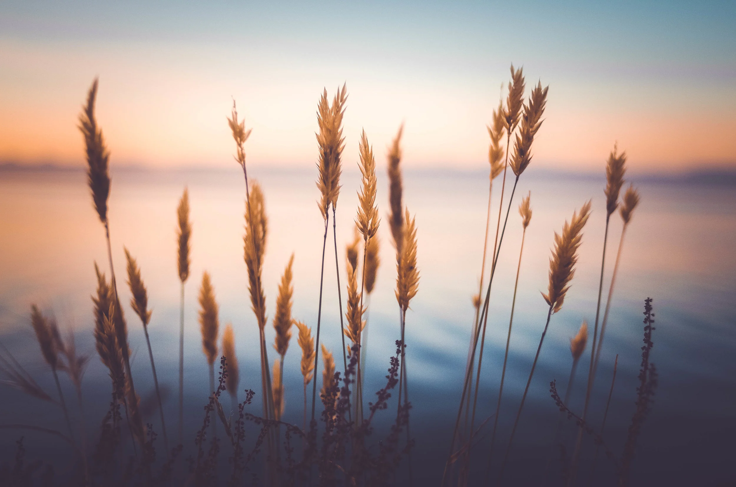 Nancy Shields Creative