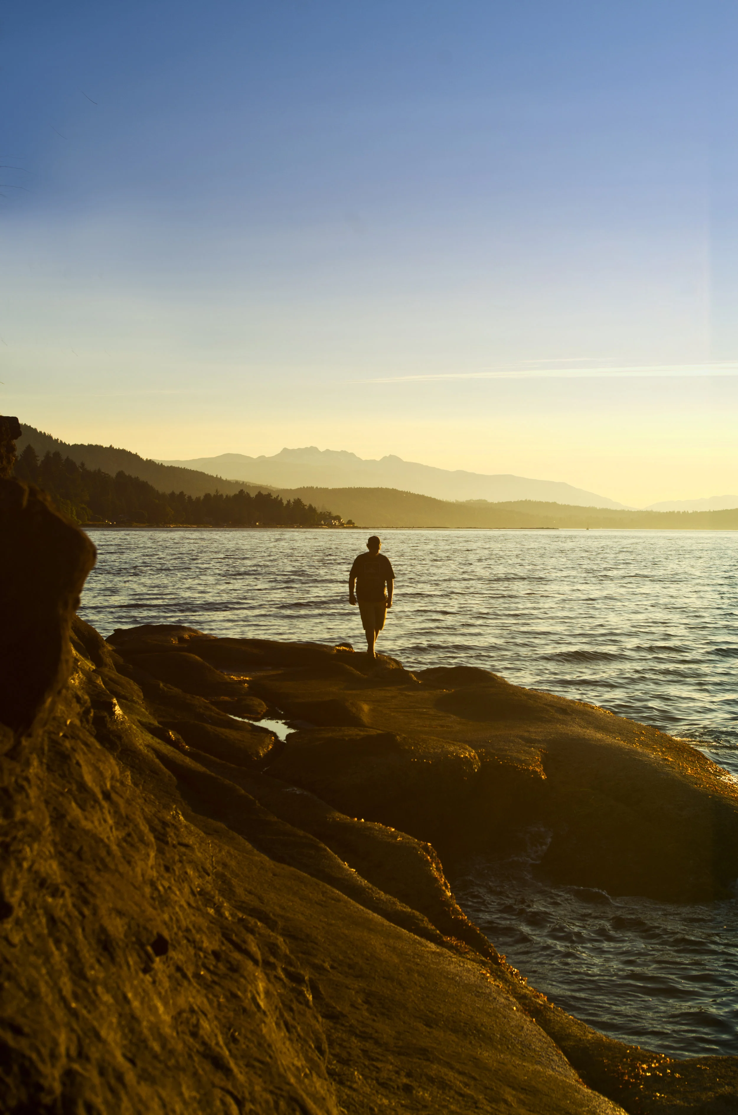 Nancy Shields Creative