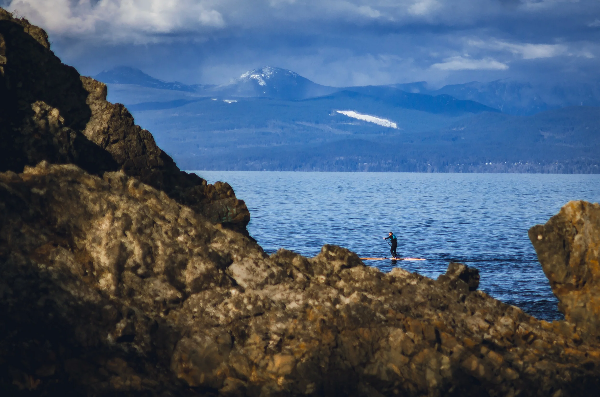 Nancy Shields Creative