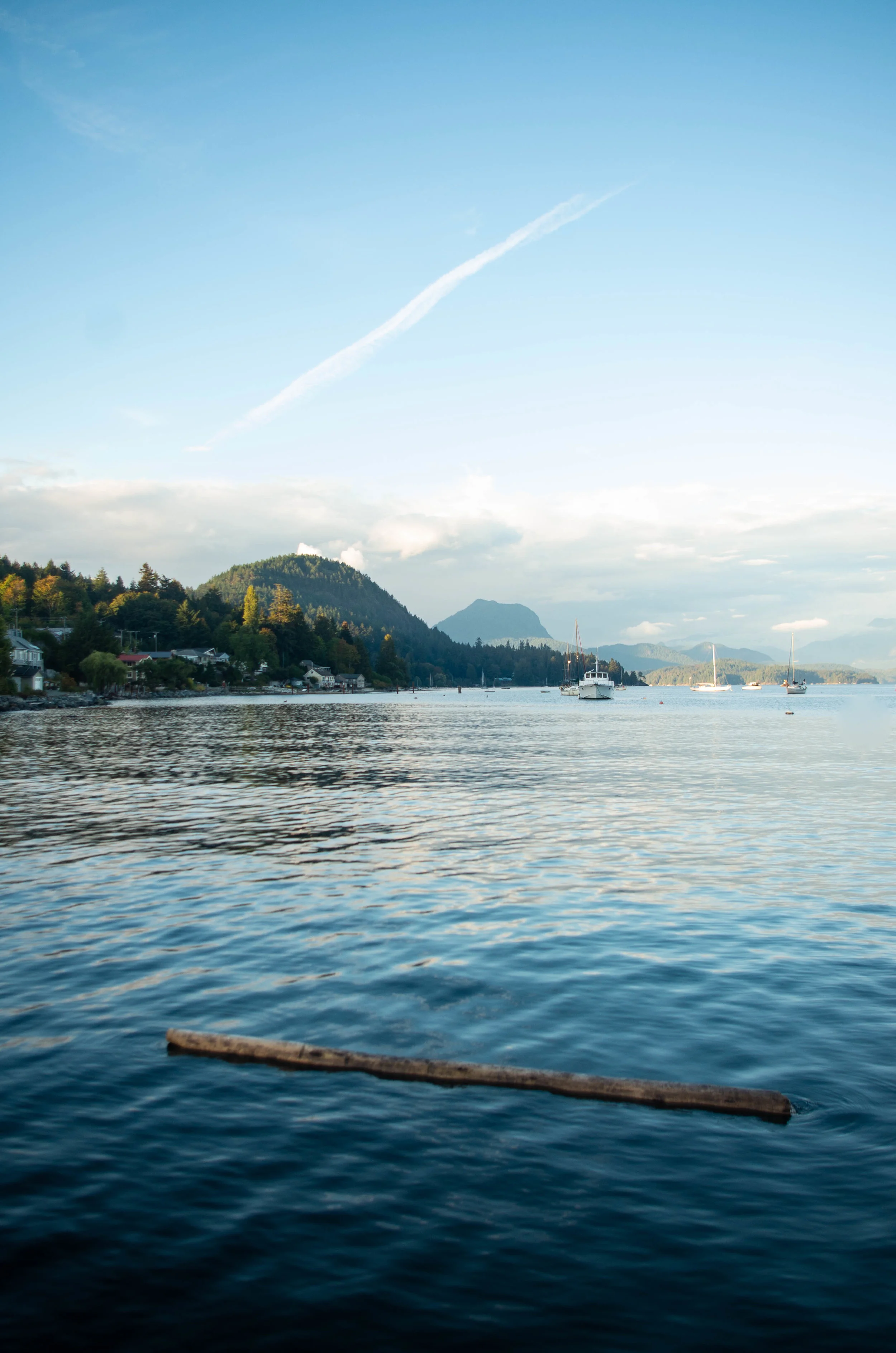 Nancy Shields Creative