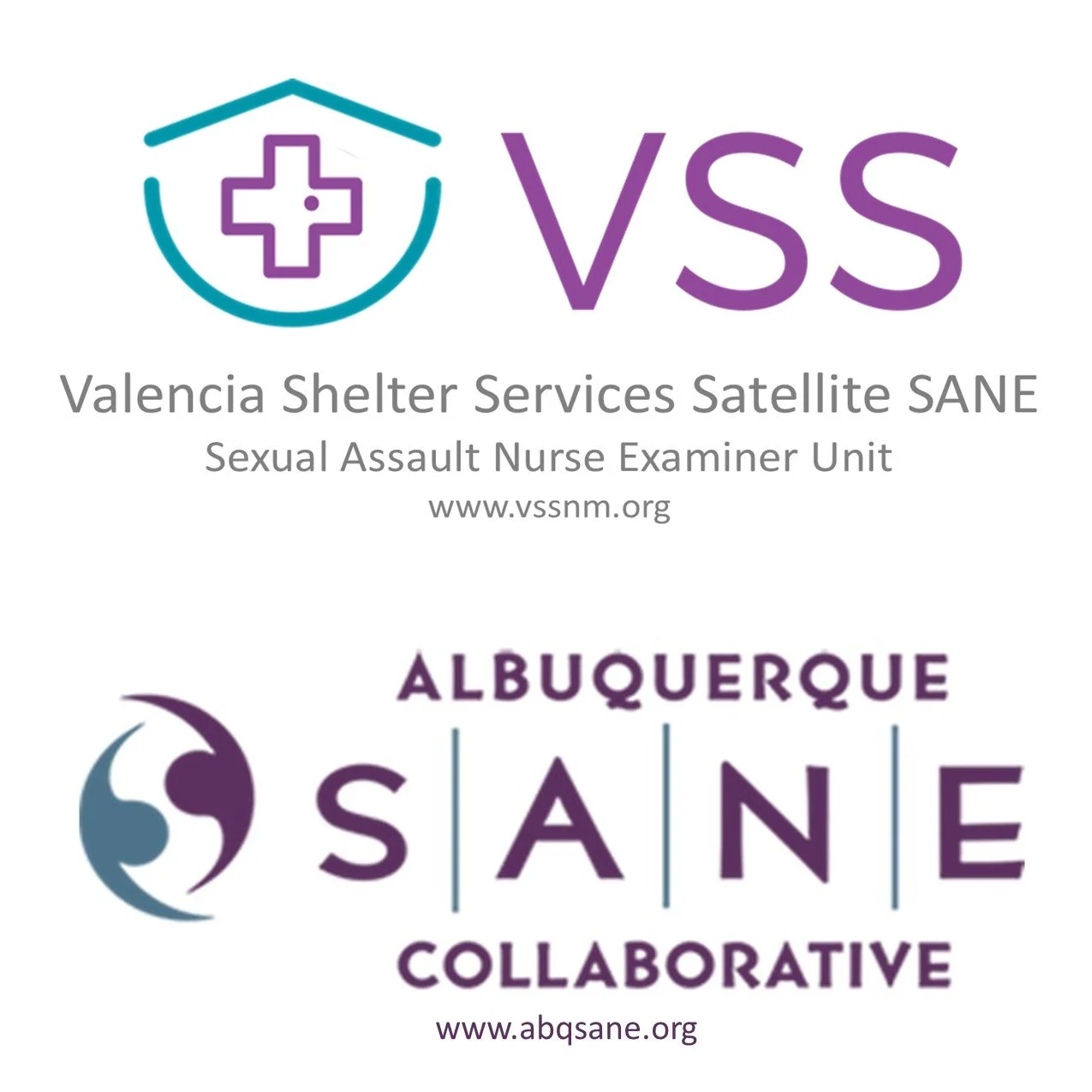 VSS Satellite SANE — Valencia Shelter Services