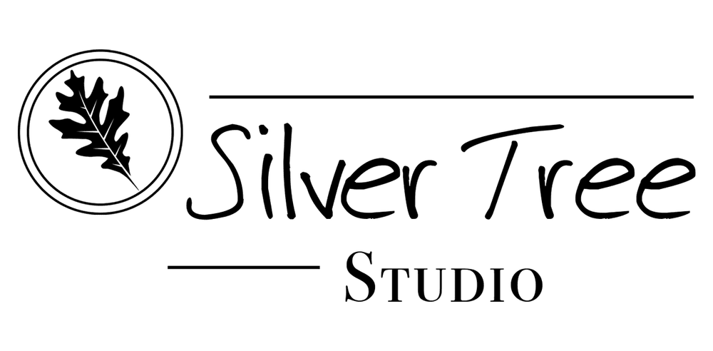 Professional Photographer in Mount Horeb | Silver Tree Studio