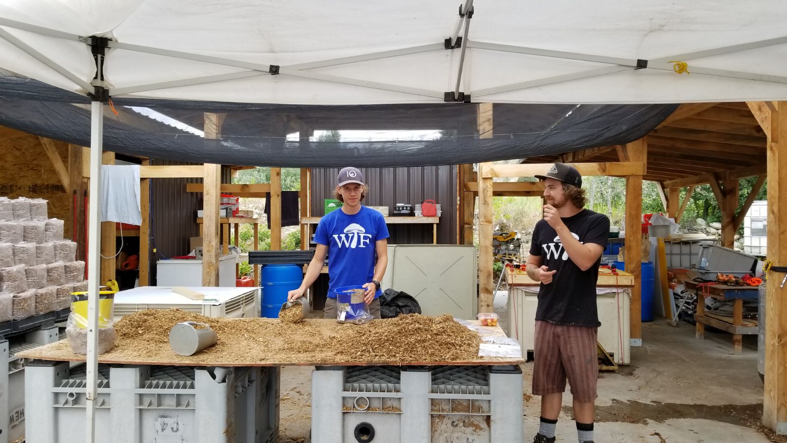 Learn to Grow Mushrooms — What The Fungus