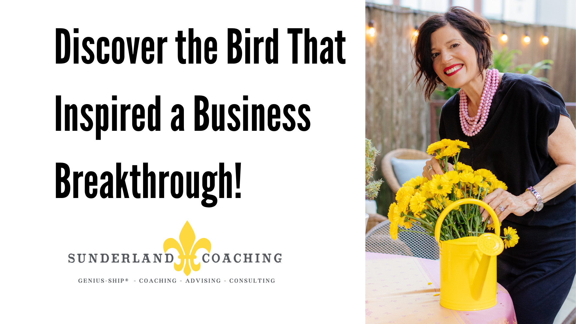 Discover the bird that inspired a business breakthrough — Sunderland ...