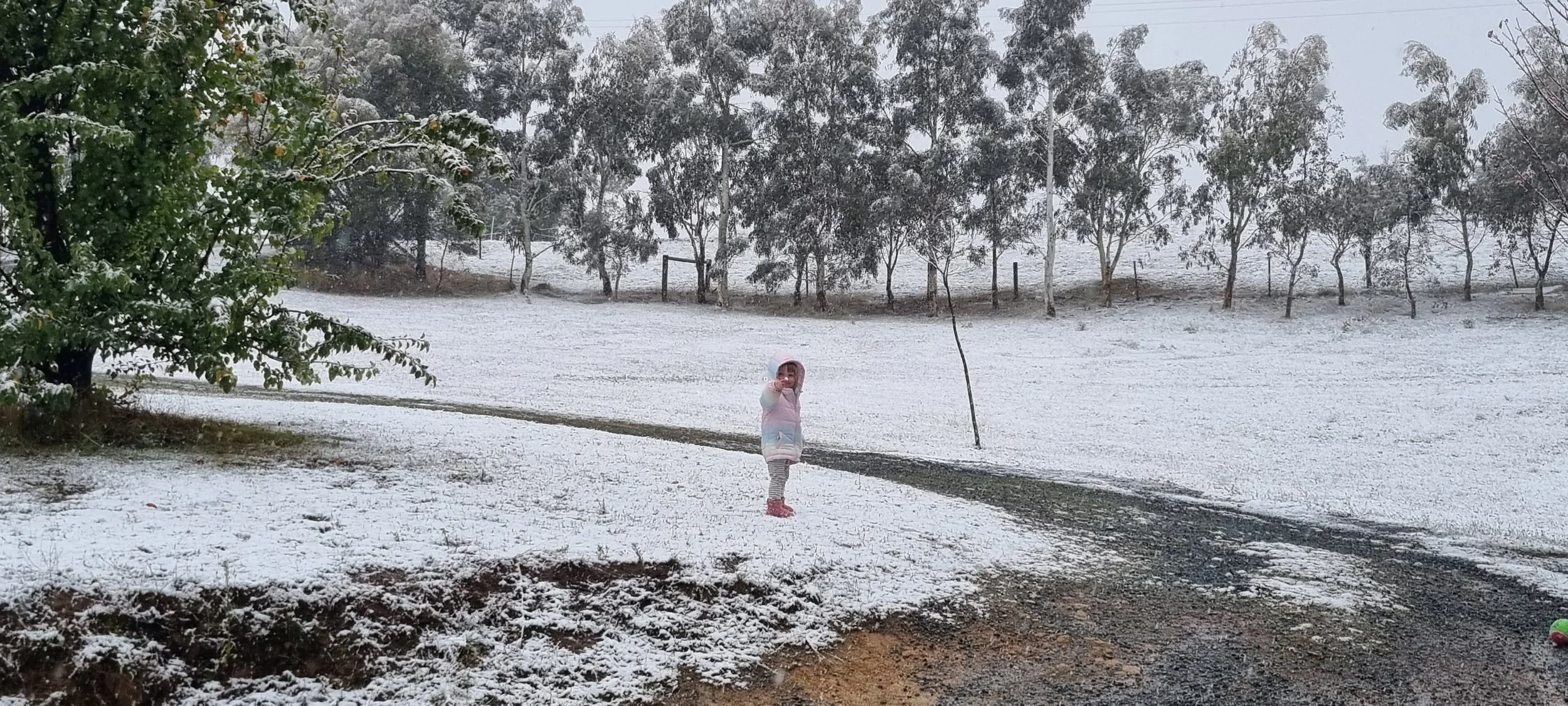How Do You Find Your Winter Bliss? — Sandra Bennett