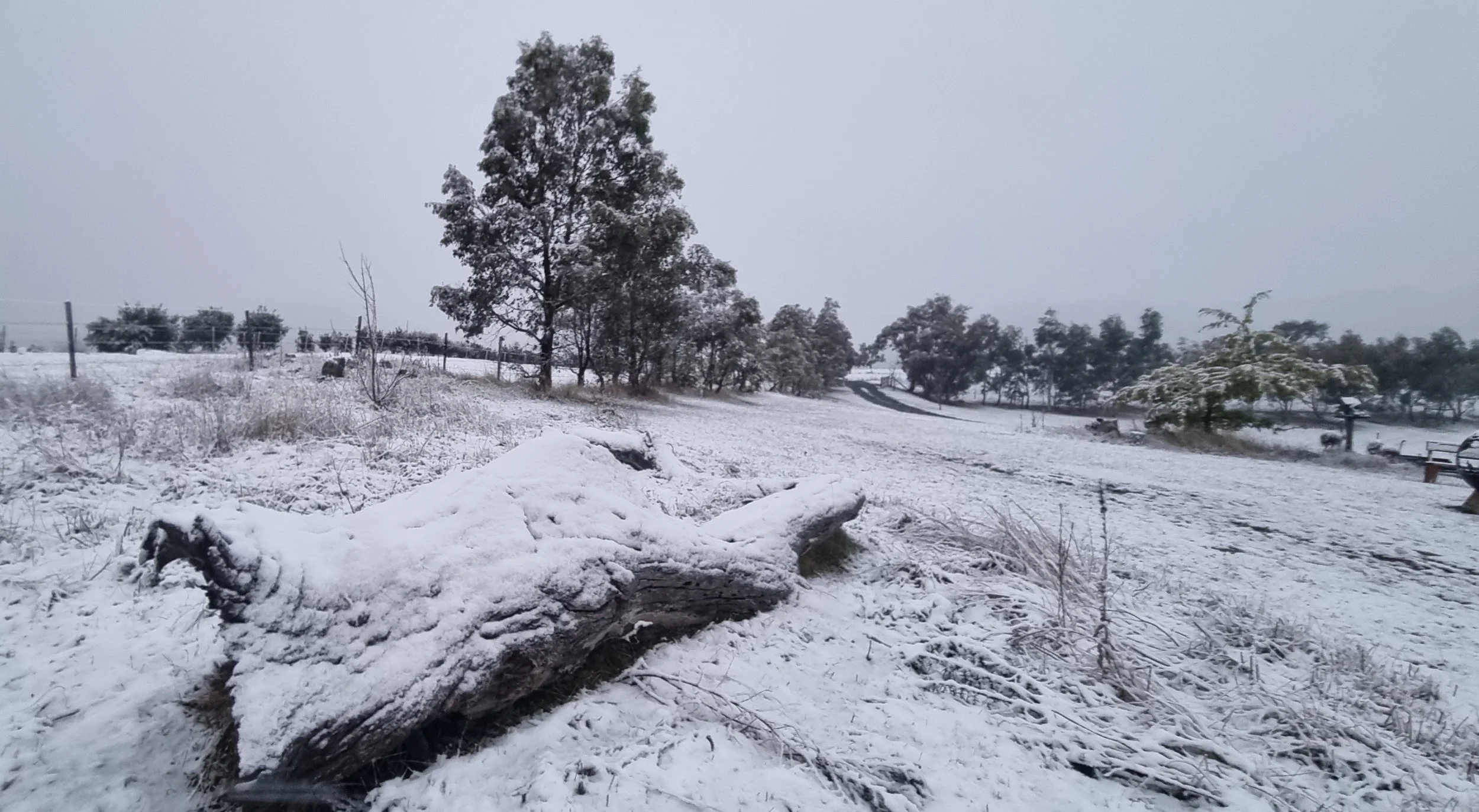 How Do You Find Your Winter Bliss? — Sandra Bennett