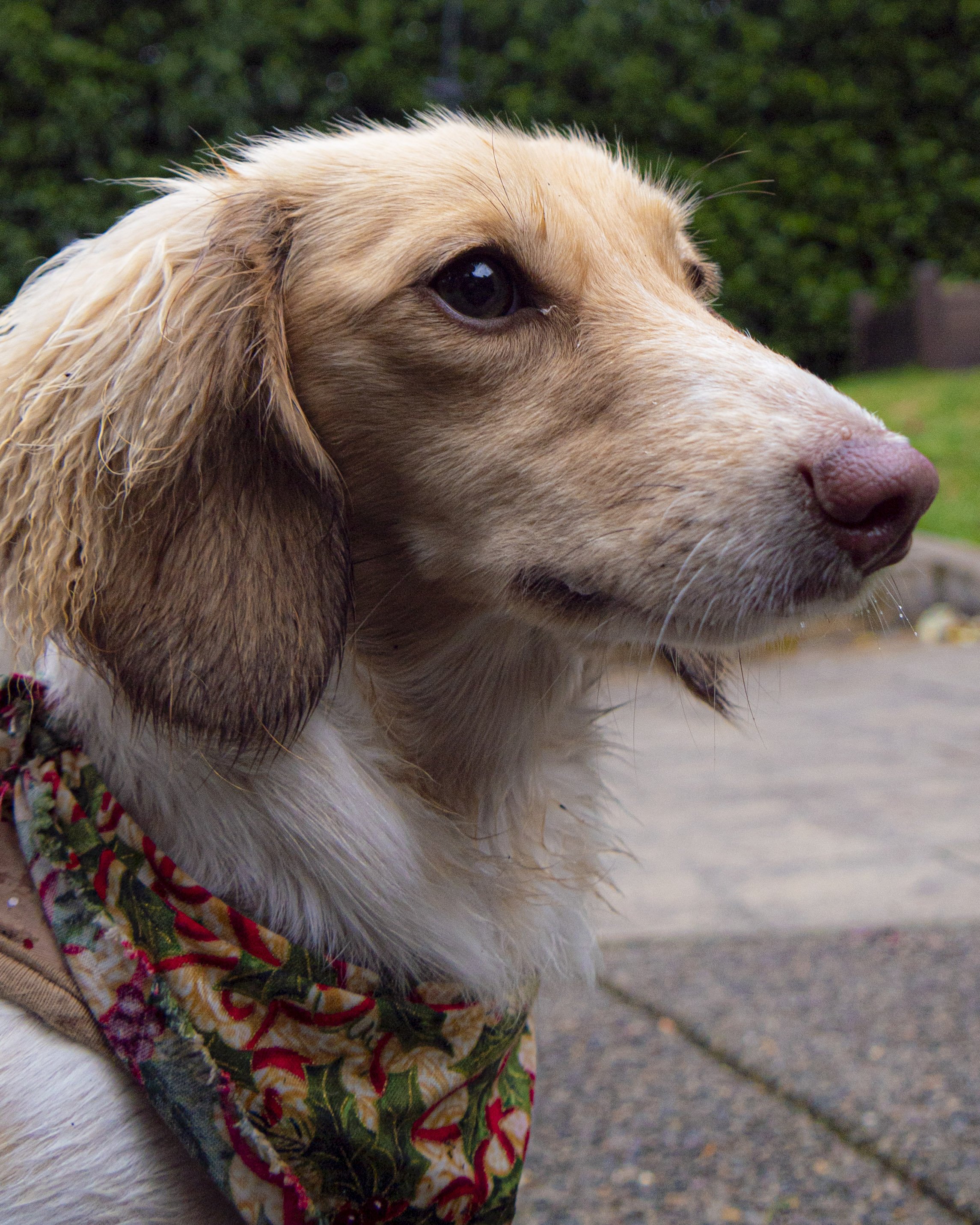 Events — Alex Rubenstein