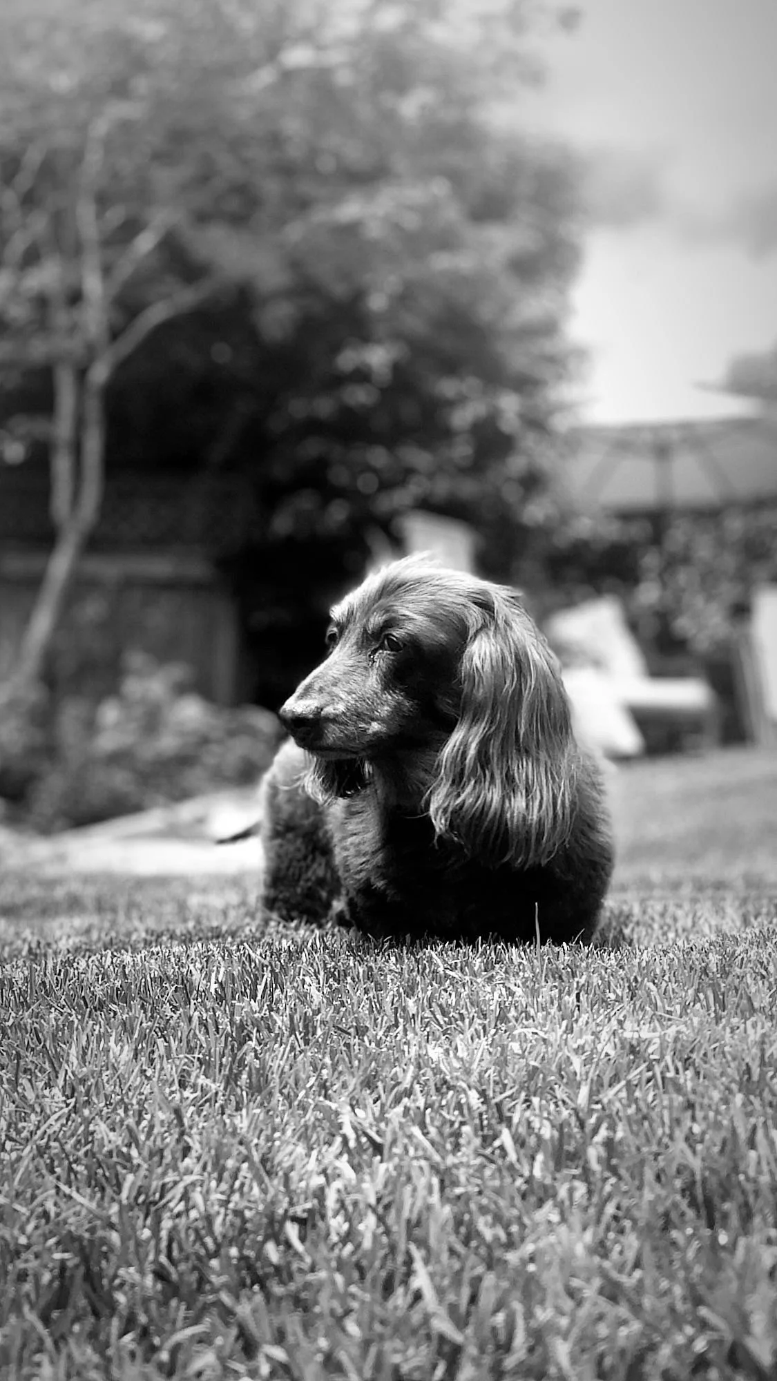 Events — Alex Rubenstein