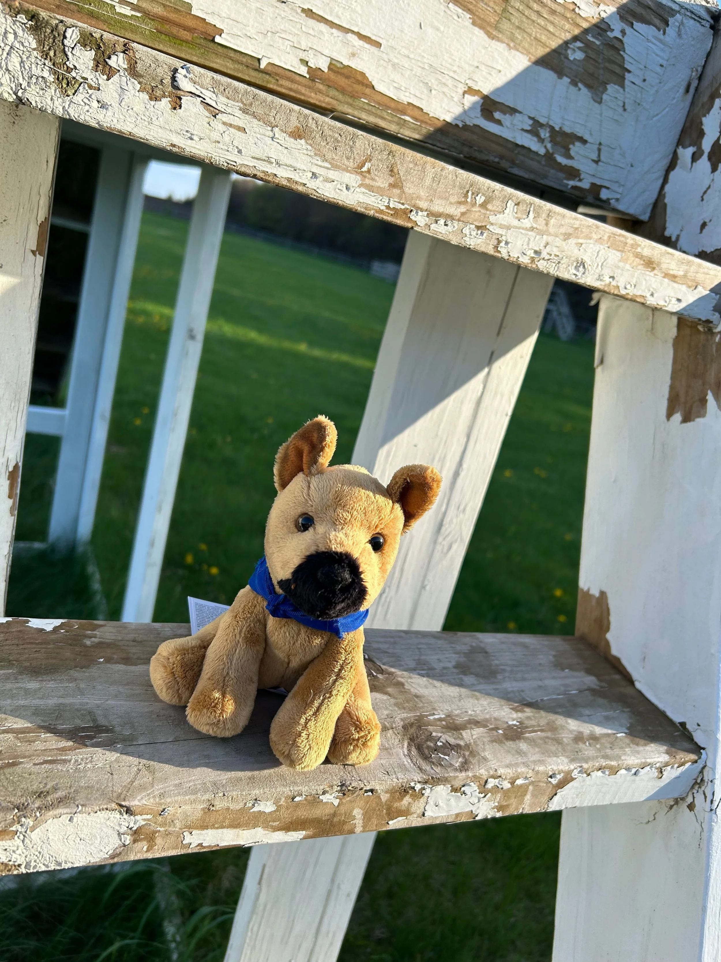 Merchandise — Woodbury Police K9 Fund