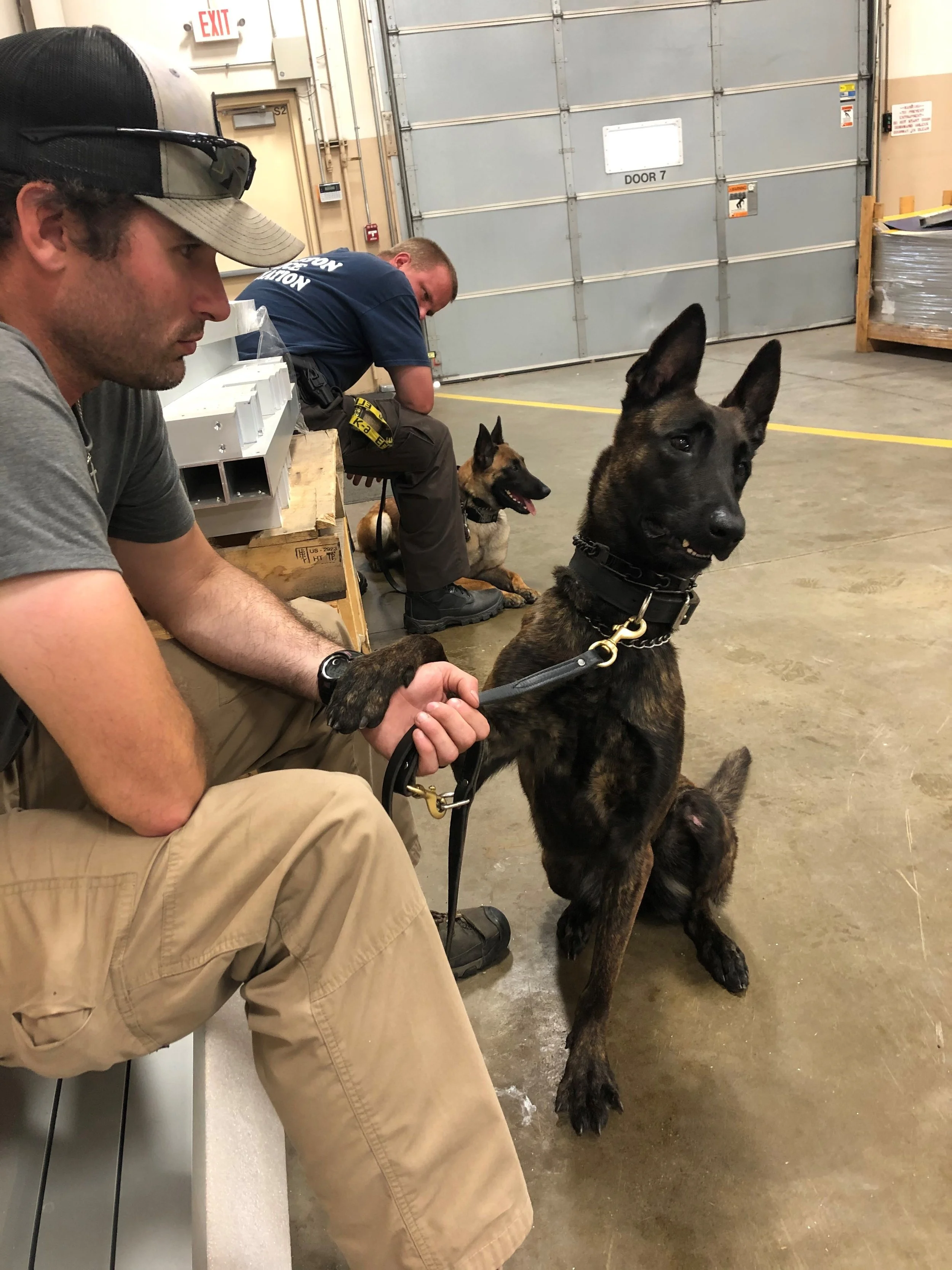 Current K9 teams — Woodbury Police K9 Fund