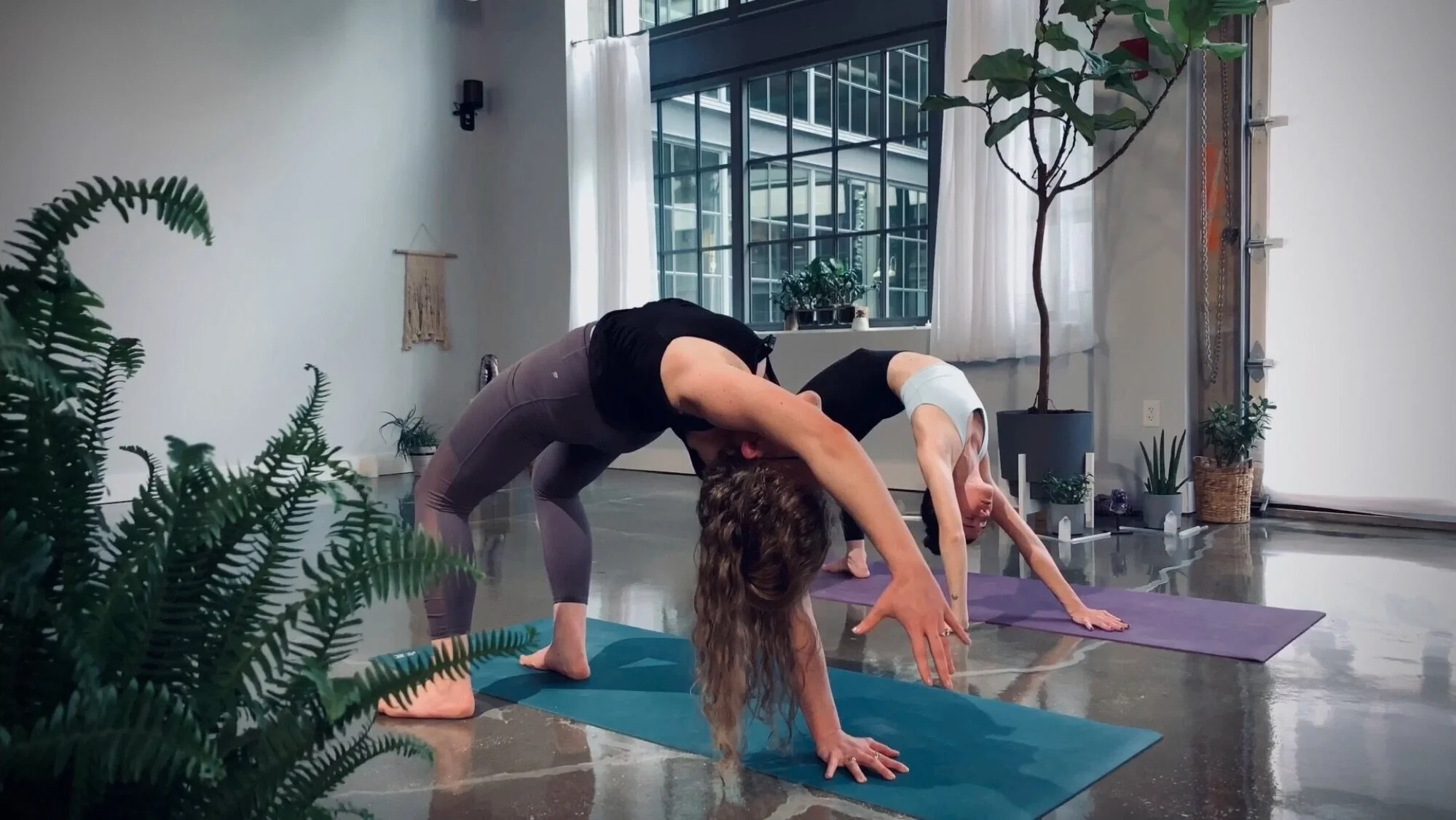 Lotus Yoga Winston Salem