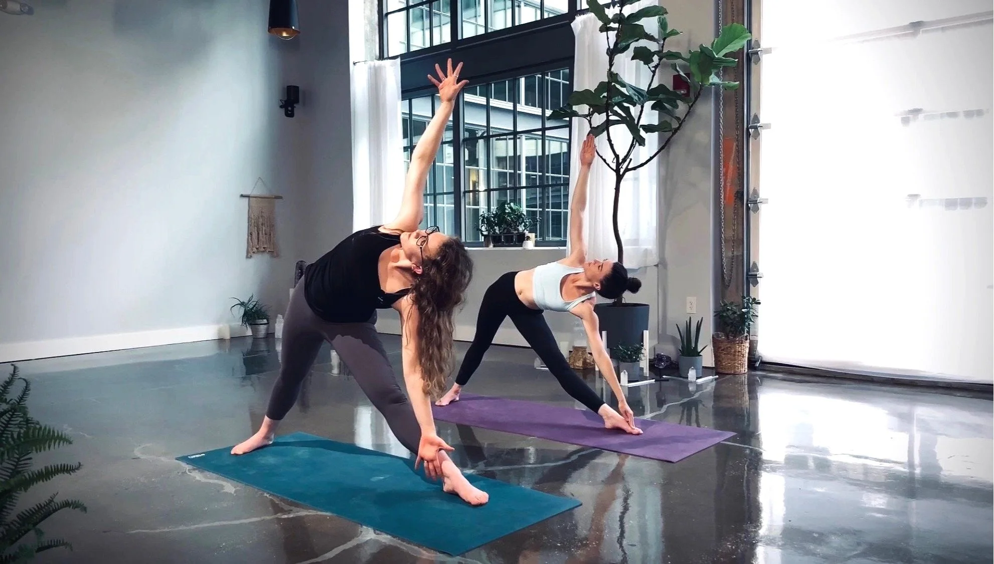 Lotus Yoga Lifestyle